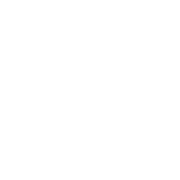 AIESEC Regional Logos