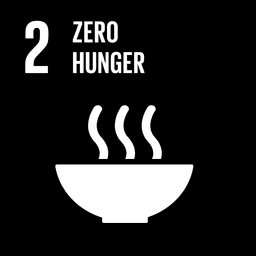 Sustainable Development Goals (SDGs) logos