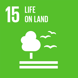 Sustainable Development Goals (SDGs) logos